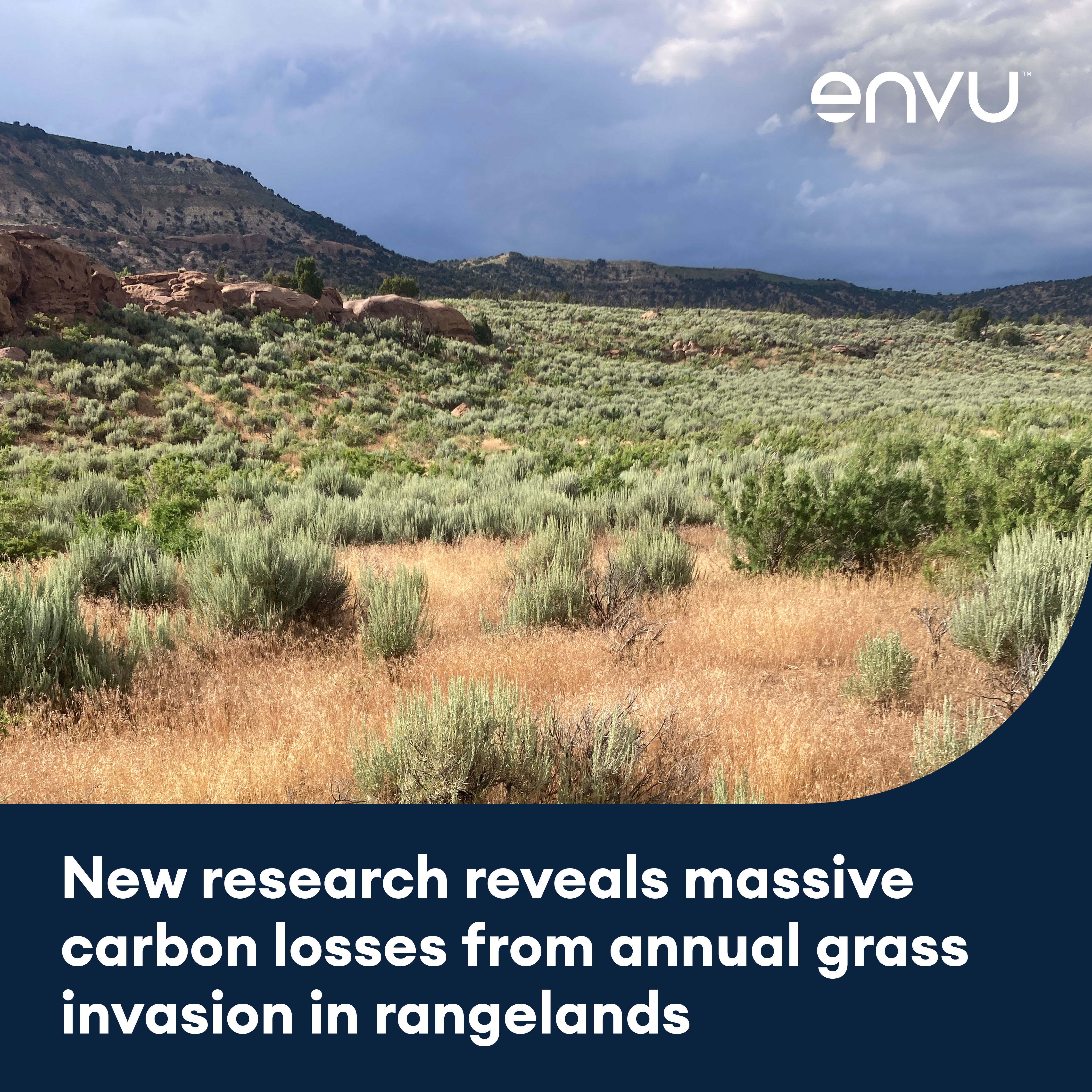 A Look at Rangeland Soil Carbon Loss and How Envu Is Taking Action