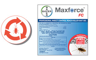 Maxforce Roach Solutions | Envu Environmental Science US