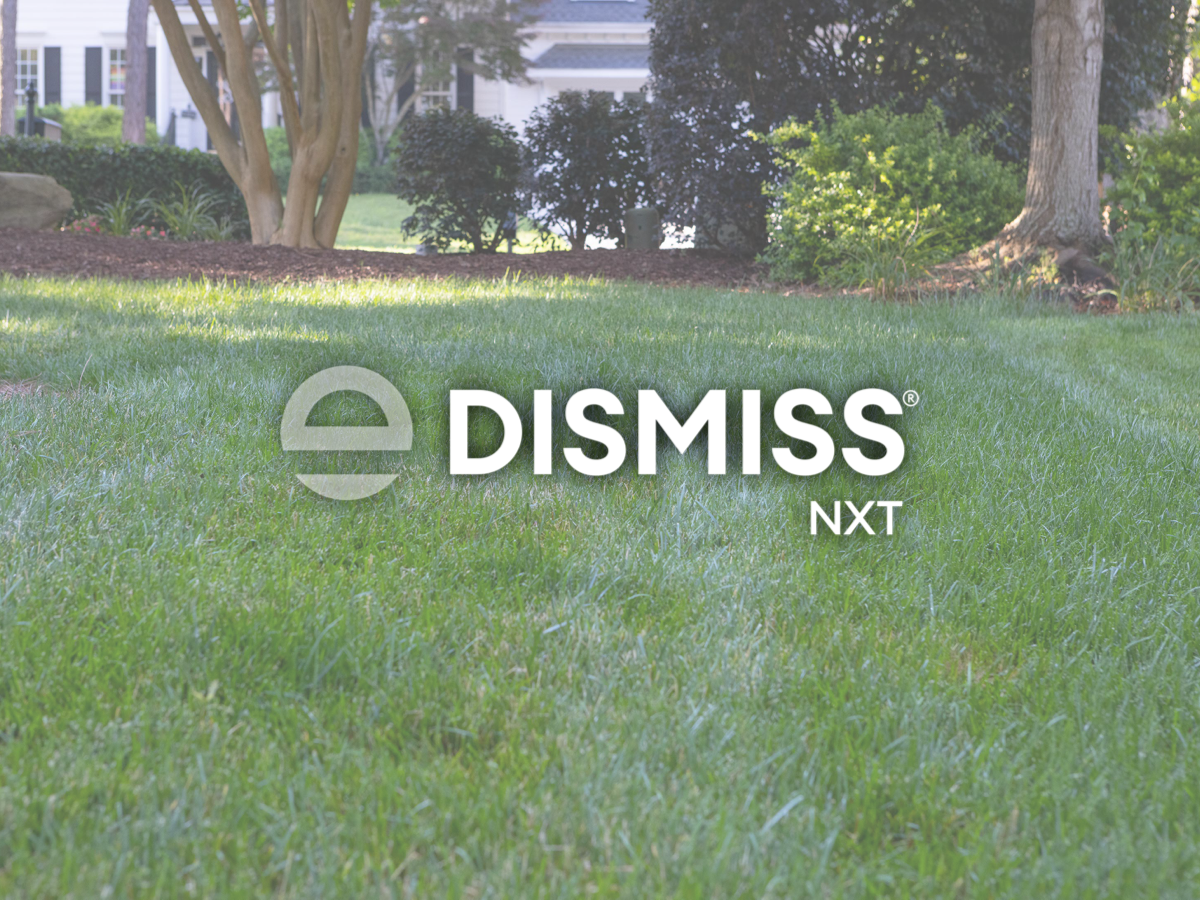Cool-Season Lawn Solutions | Envu U.S.